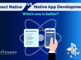 React Native Vs Native App Development Which One Is Better