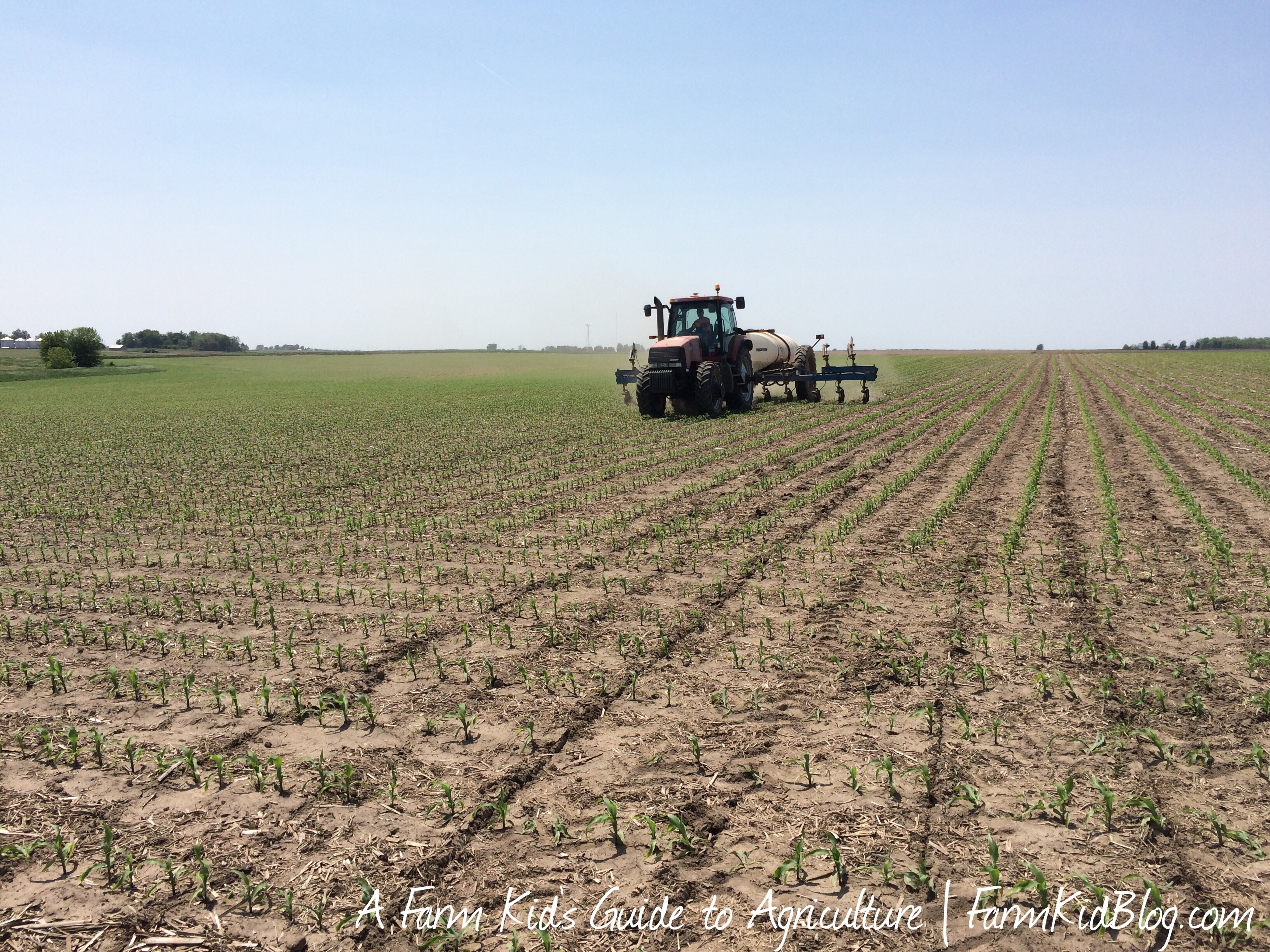 Side-Dressing Corn | A Farm Kid's Guide to Agriculture