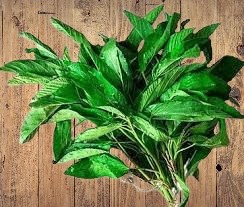 How To Use Ewedu Leave To Boost Fertility