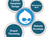 Drupal Development Services Drupal Resources Fidel Softech