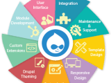 Drupal Development Services Drupal Resources Fidel Softech