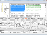 Bulk Rename Tool Roadkda
