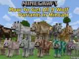How To Get All 9 Wolf Variants In Minecraft March 2026