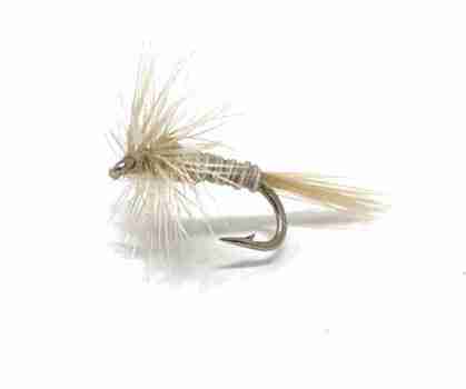 Cream Variant Fly - Finham.com
