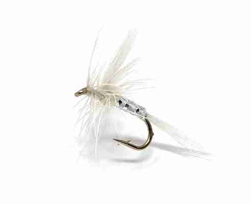 White Miller Fly - Finham.com