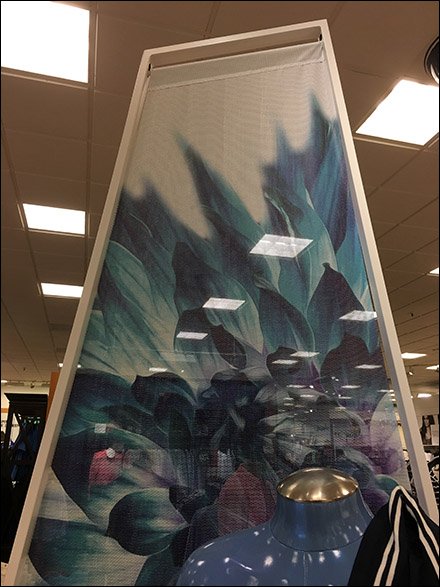 Hanes Hue Leggy Stocking Lineup – Fixtures Close Up