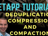 What Is Compaction Netapp At Mabel Singer Blog