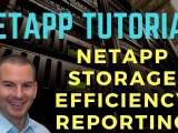 Netapp Storage Efficiency Reporting Tutorial Flackbox