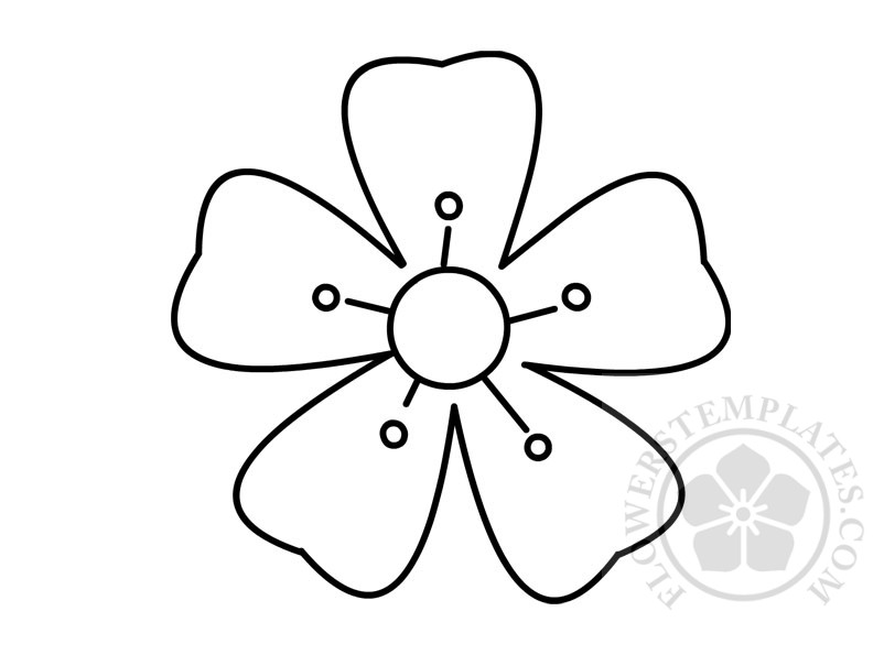 Simple vector flower - Flowers Templates