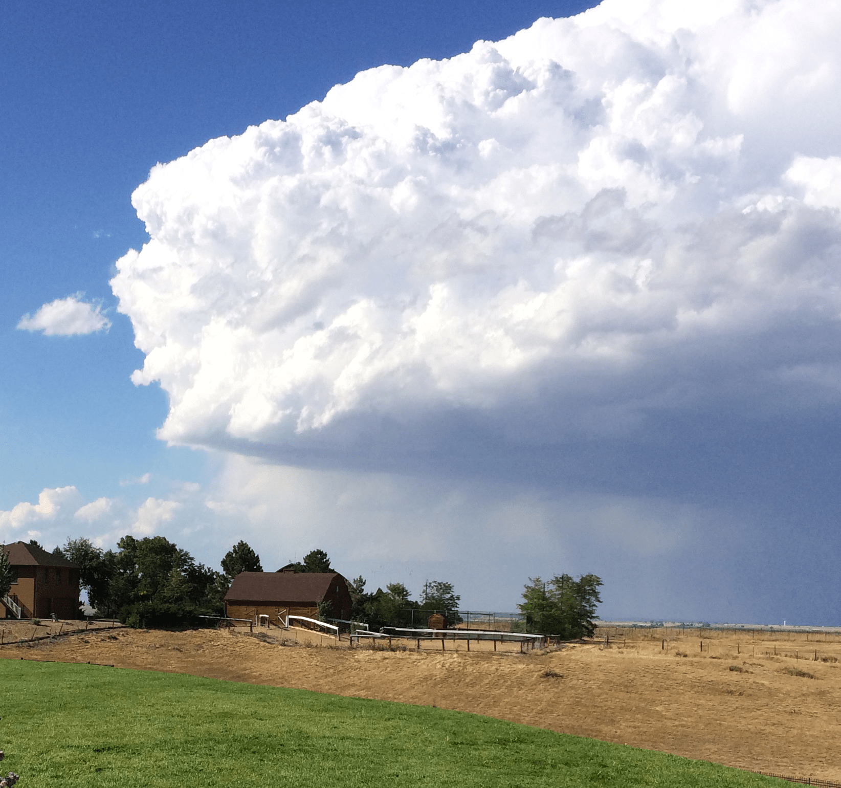 Ryan Walker Clouds First: Cumulonimbus - Flow Visualization