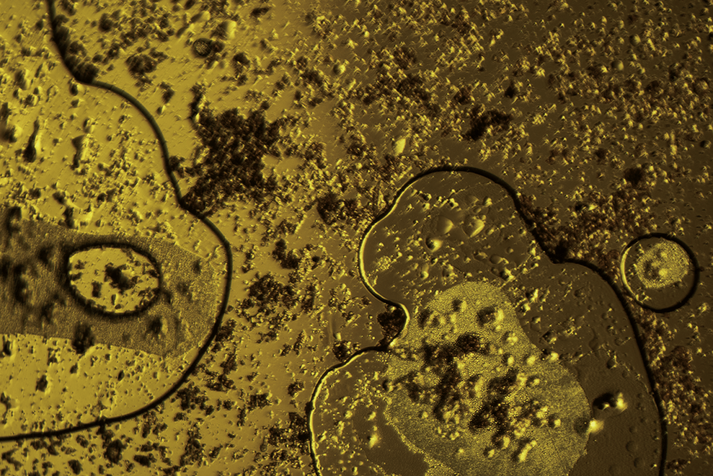 2019 Team Third - Flow Visualization