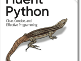 Fluent Python The Lizard Book