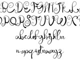 The Script Font By Eddy Goodboy Fontriver