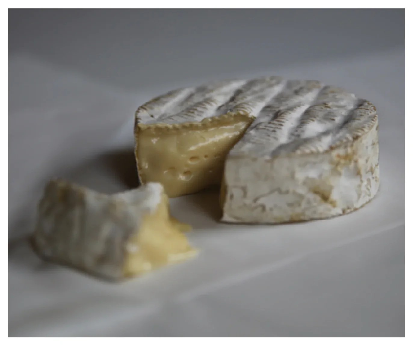 Formaticum S Cheese Course