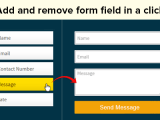 How To Dynamically Add And Remove Form Fields Formget