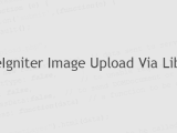 Codeigniter Image And File Upload Formget