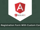 Angularjs Create Registration Form With Custom Component Formget