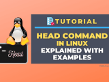 7 Ways To Use The Linux Head Command Foss Linux