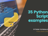 Python Script Template