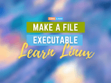 How To Make A File Executable In Linux Foss Linux