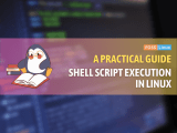 How To Properly Execute Shell Scripts In Linux