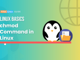 How To Use The Chmod Command For File Permissions In Linux