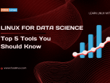 Top 5 Linux Tools For Data Science In 2024