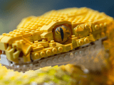 Build And Publish Your Python Project