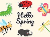 Spring Insect Sticker Set Vector Art Graphics Freevector