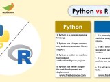 R Vs Python For Data Analysis Peerdh