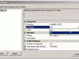 Microsoft Sql Server Lesson 07 Assistance With Data Entry