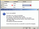 Microsoft Sql Server Lesson 07 Assistance With Data Entry