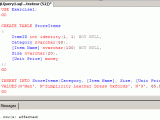 Microsoft Sql Server Lesson 15 Assistance With Data Entry