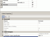 Microsoft Sql Server Lesson 15 Assistance With Data Entry