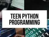 Python Programming 2026 Online Class Fundafunda Academy