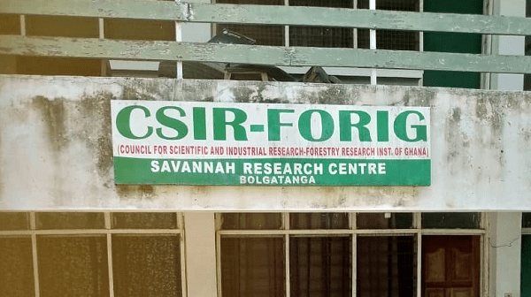 Plant more indigenous trees- FORIG