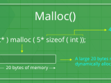 Dynamic Memory Allocation In C Using Malloc Calloc Free And