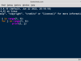 How To Use A For Loop In Python With Examples
