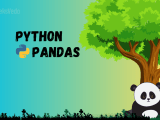 Introduction To Python Pandas Library For Data Science