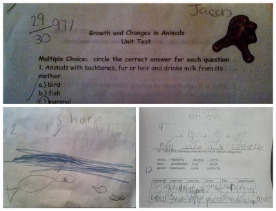 POD: Science Test – Geek with Kids