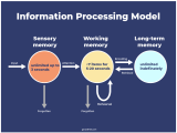 Information Processing Theory Masakaluxiarweddingphotocom