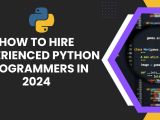 How To Hire Experienced Python Programmers In 2024