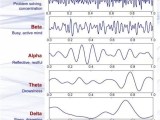 Brainwaves How Our Brainwaves And Great Ideas Create The Noosphere