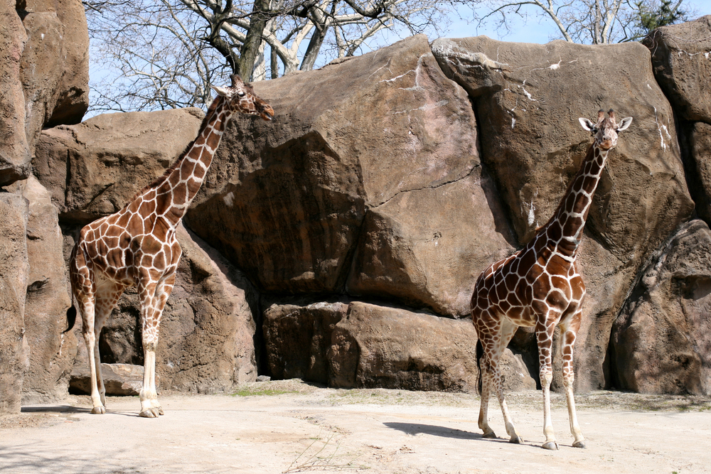 Top Sights For A First Time Visitor To Philadelphia