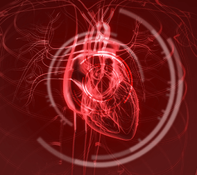 ECHO Inter/Intra-Reader Variability - Philips Ambulatory Monitoring and ...