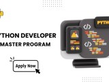 Best Python Developer Masters Program Led By Experienced And Skilled