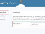 How To Export Form Entries Gravity Forms
