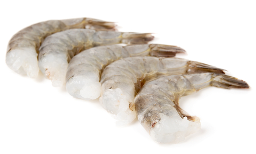 Colossal Stuffing shrimp – U10 – Great White Trading Co.