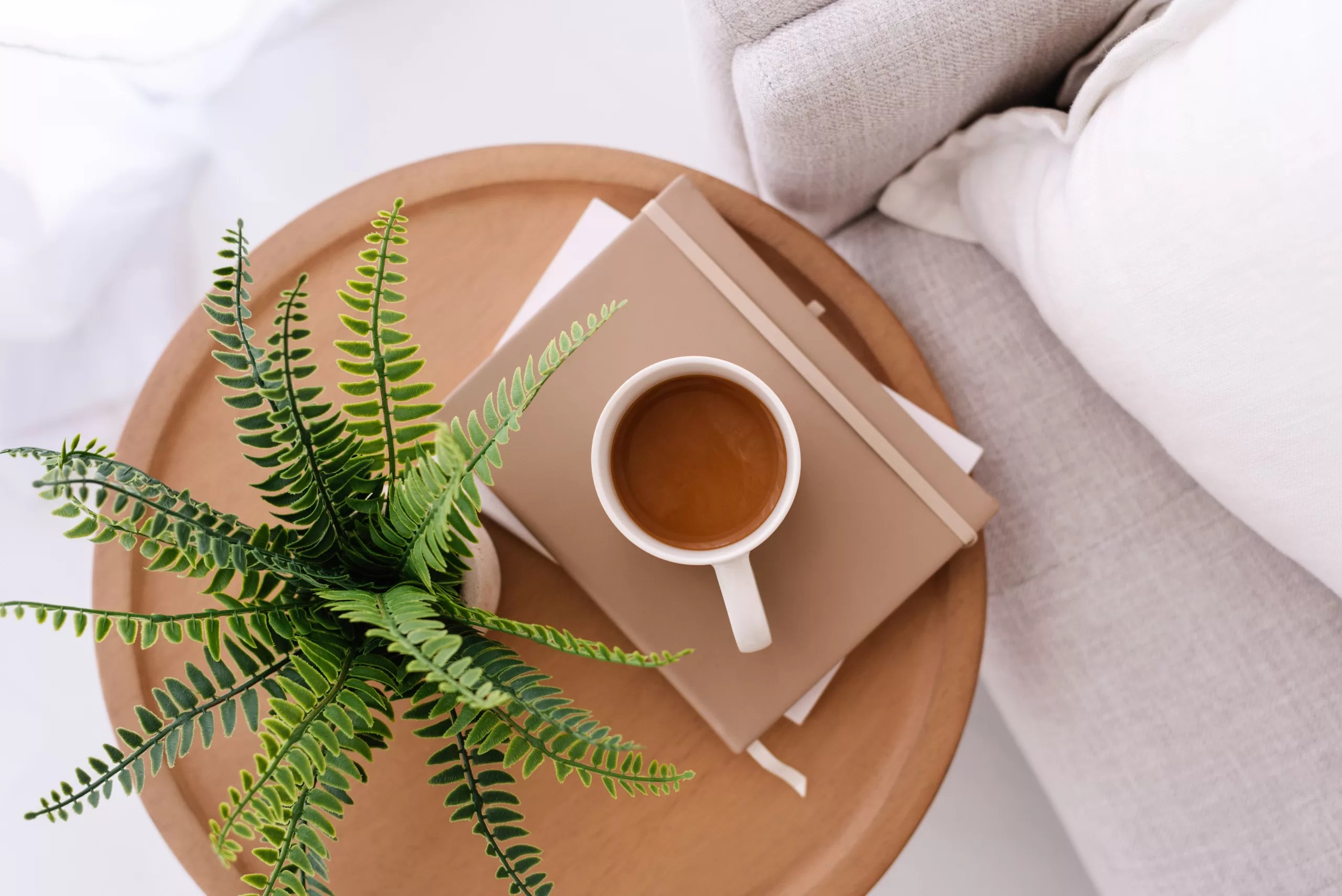 Best Travel Tips & Resources for 2025 - Grumpy Camel