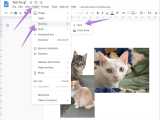 3 Ways To Create A Collage In Google Docs Guiding Tech